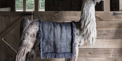 Denver | Kneedler Fauchère